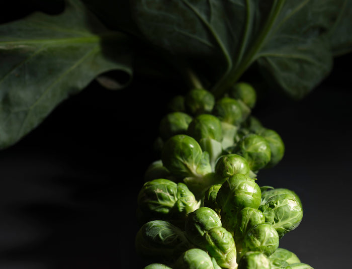 Phi Collection: Premium pots with a functional design | Fissler